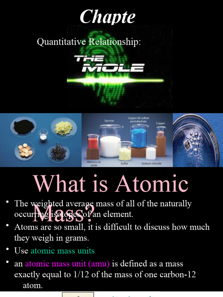 Chapter 3 - The Mole | PDF | Mole (Unit) | Nature