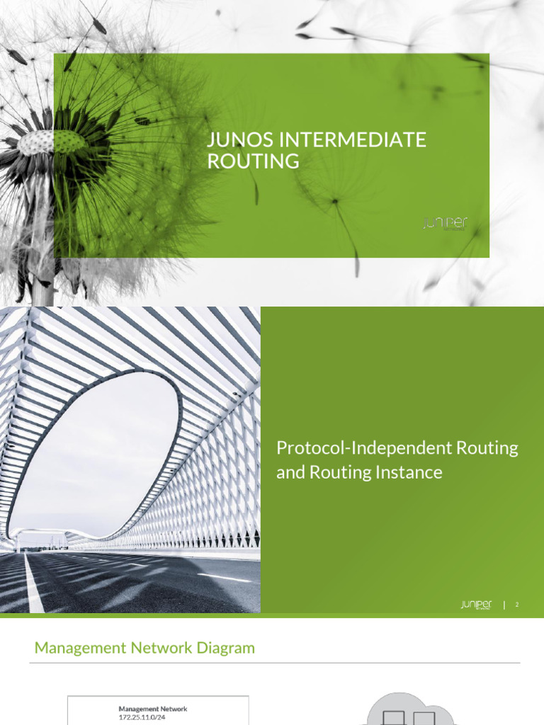 Junos Intermediate Routing | PDF