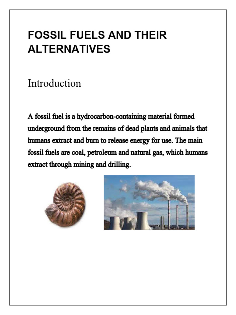 Biology Project | PDF | Fuels | Fossil Fuels