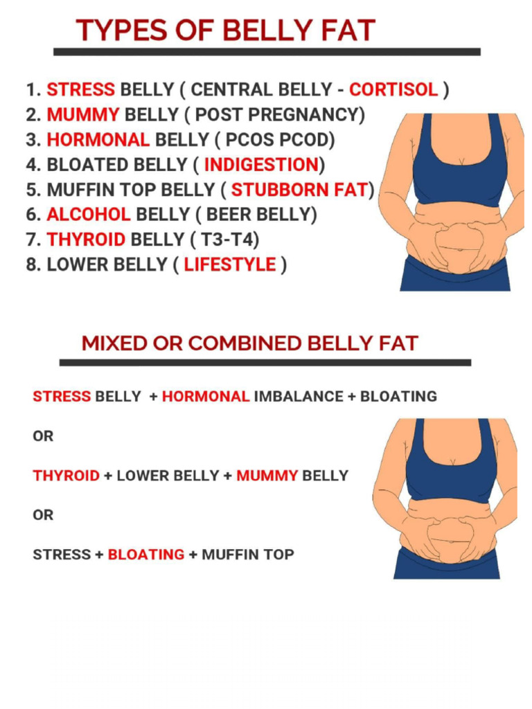 Belly Fat | PDF