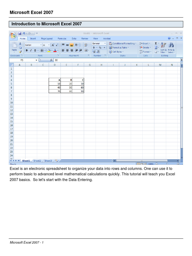 Microsoft Excel 2007 | PDF | Microsoft Excel | Spreadsheet