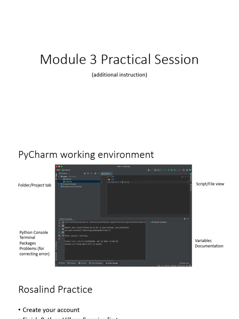 Module 3 Practical Session Pdf