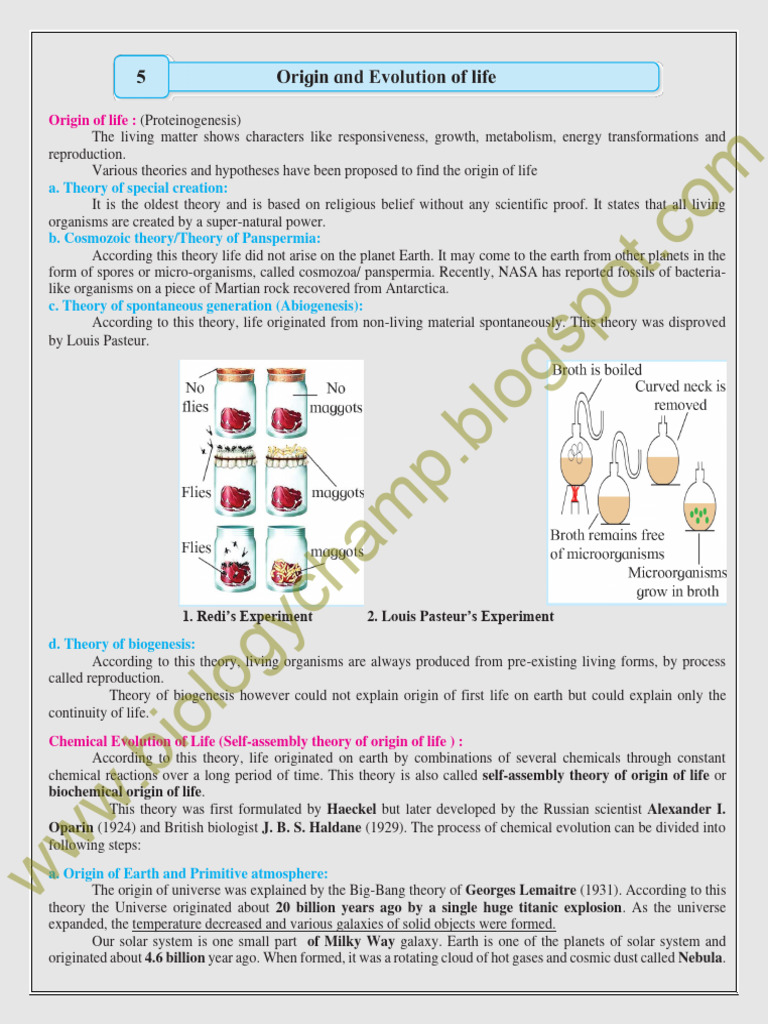5.origin and Evolution of Life | PDF | Evolution | Natural Selection