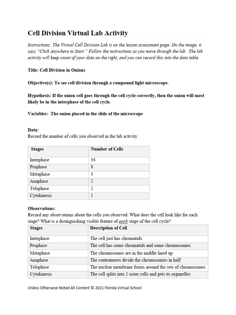 03 01 Virtual Cell Division Lab Report | PDF | Cell Cycle | Cell Biology