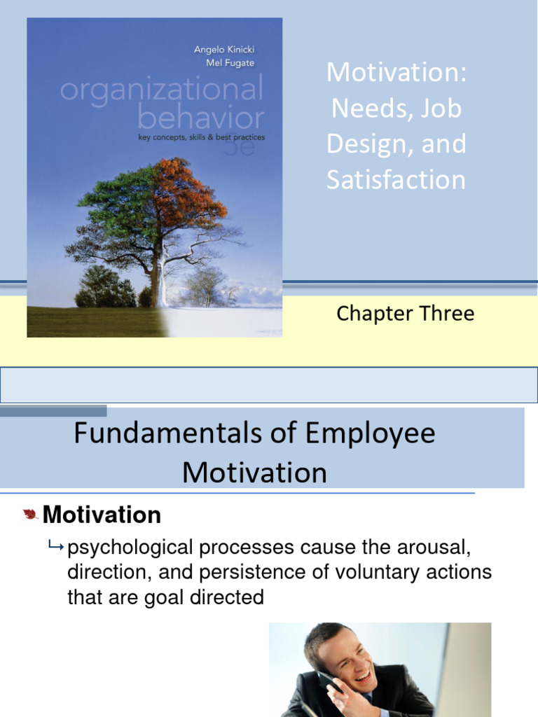 Chapter 3 | PDF | Job Satisfaction | Motivational