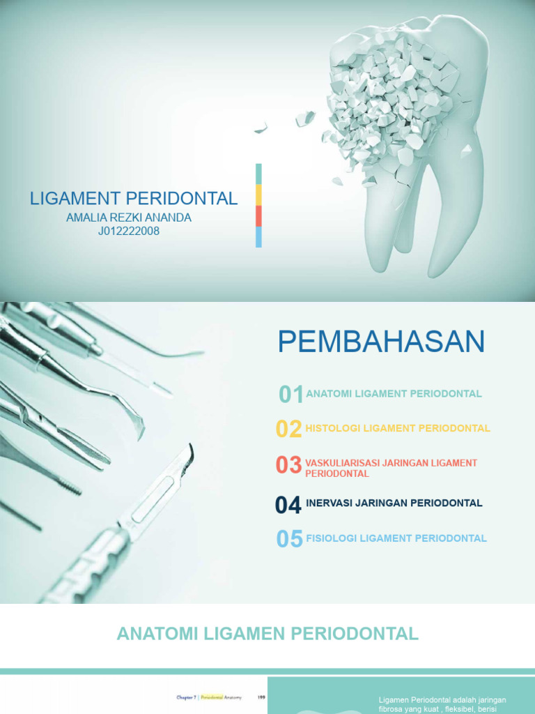 AMALIA REZKI ANANDA - J012222008 - Ligament Periodontal | PDF | Kajian Bahasa Asing | Kesehatan ...