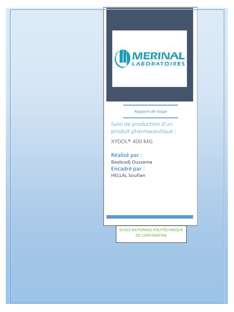 Rapport de Stage MERINAL ALGER | PDF