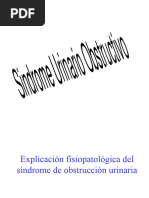 Obstrucción y Estasis Urinaria | PDF | Vejiga urinaria | Urología