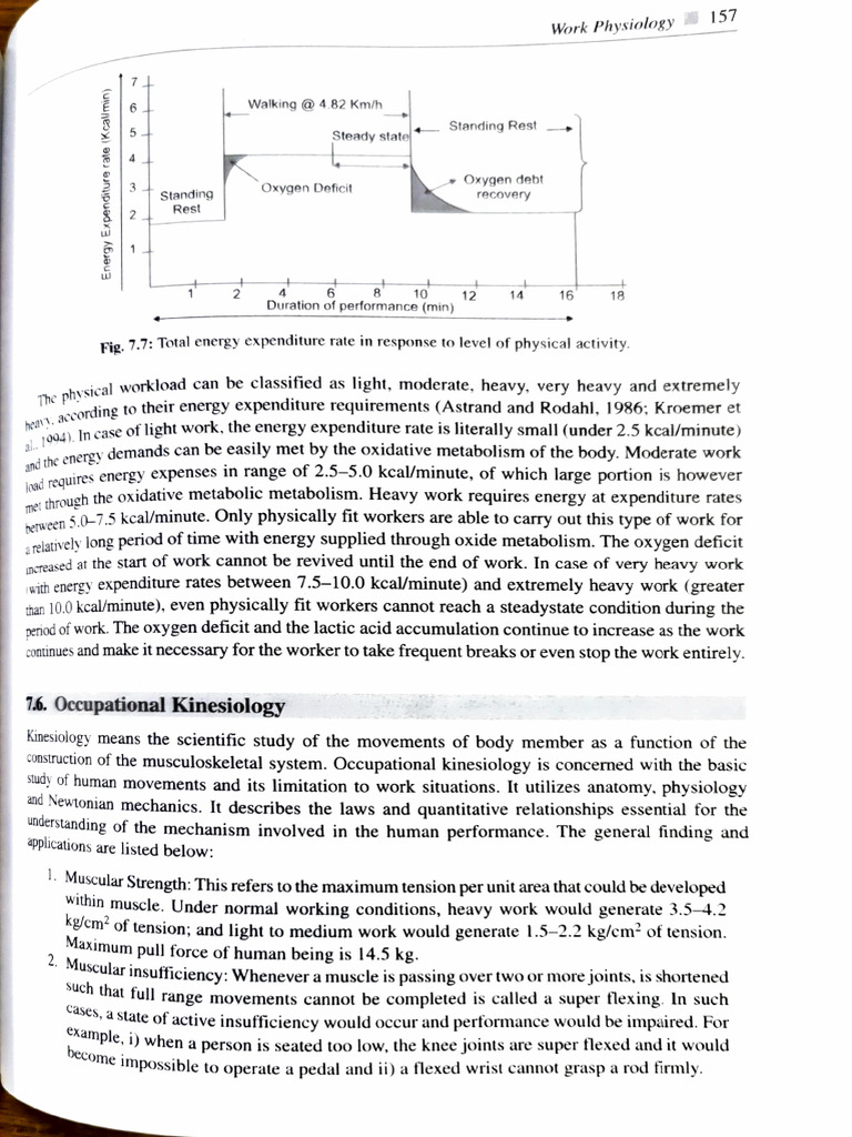 Work Physiology | PDF | Skeletal Muscle | Anatomical Terms Of Motion