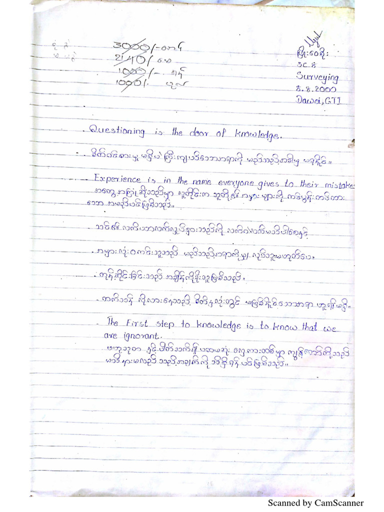 Survey Note by Phyo Wai Soe OCPL | PDF