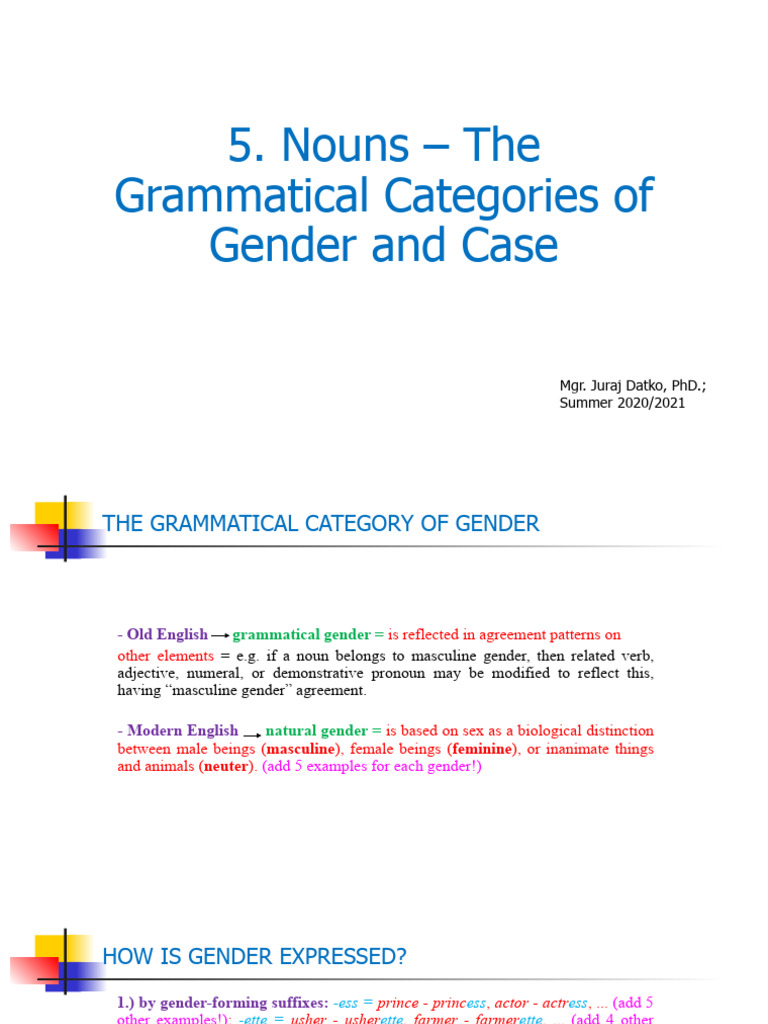 Nouns - The Grammatical Categories of Gender and Case | PDF ...