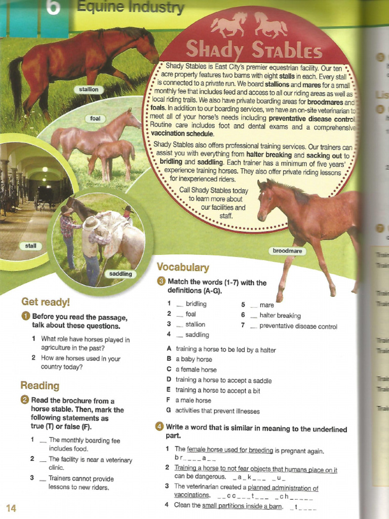 O'Sullivan and Libbin - Agriculture - Equine Industry | PDF