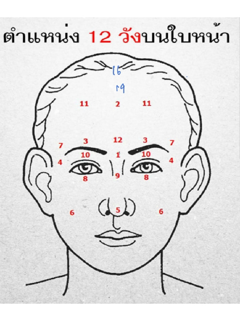 Position of Face | PDF