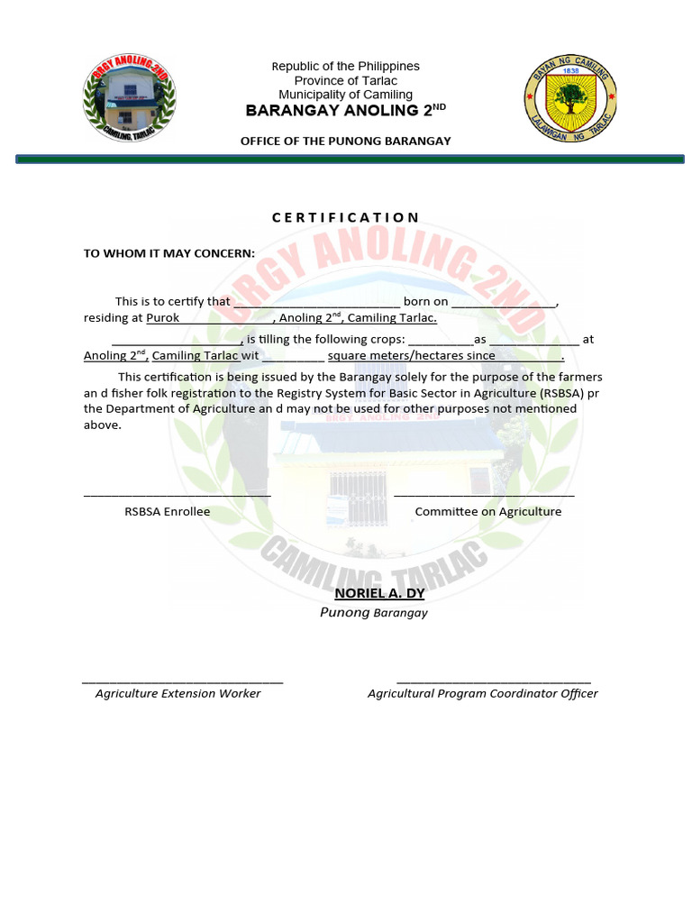 Barangay Anoling 2: Office of The Punong Barangay | PDF