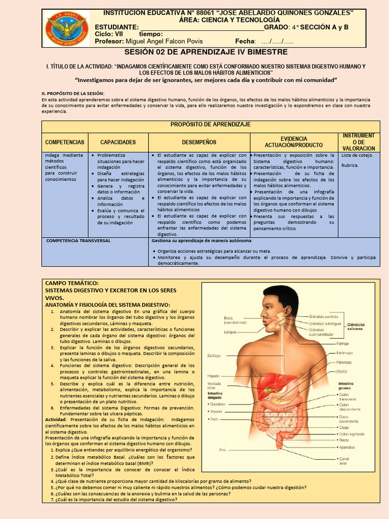 Sesion 1 Eda 8 Sistema Digestivo y Excretor | PDF | Sistema digestivo ...