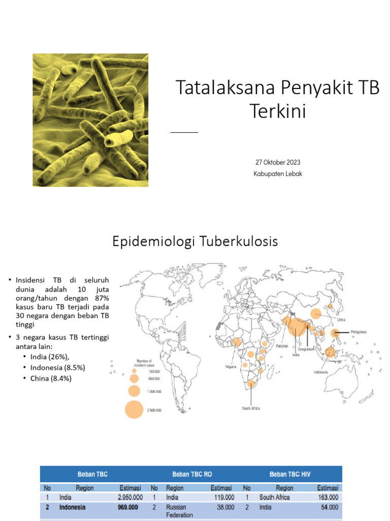Alur Tatalaksana TB - Yani | PDF