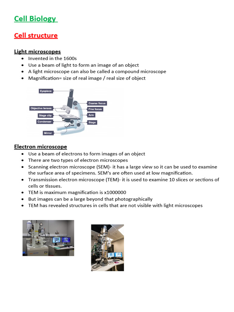 Biology | PDF | Microscope | Electron Microscope