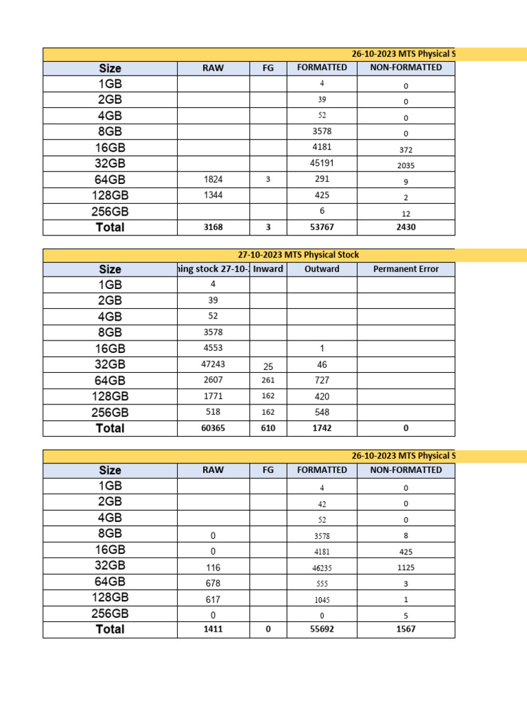 Daily In-Hand Stock Report | PDF