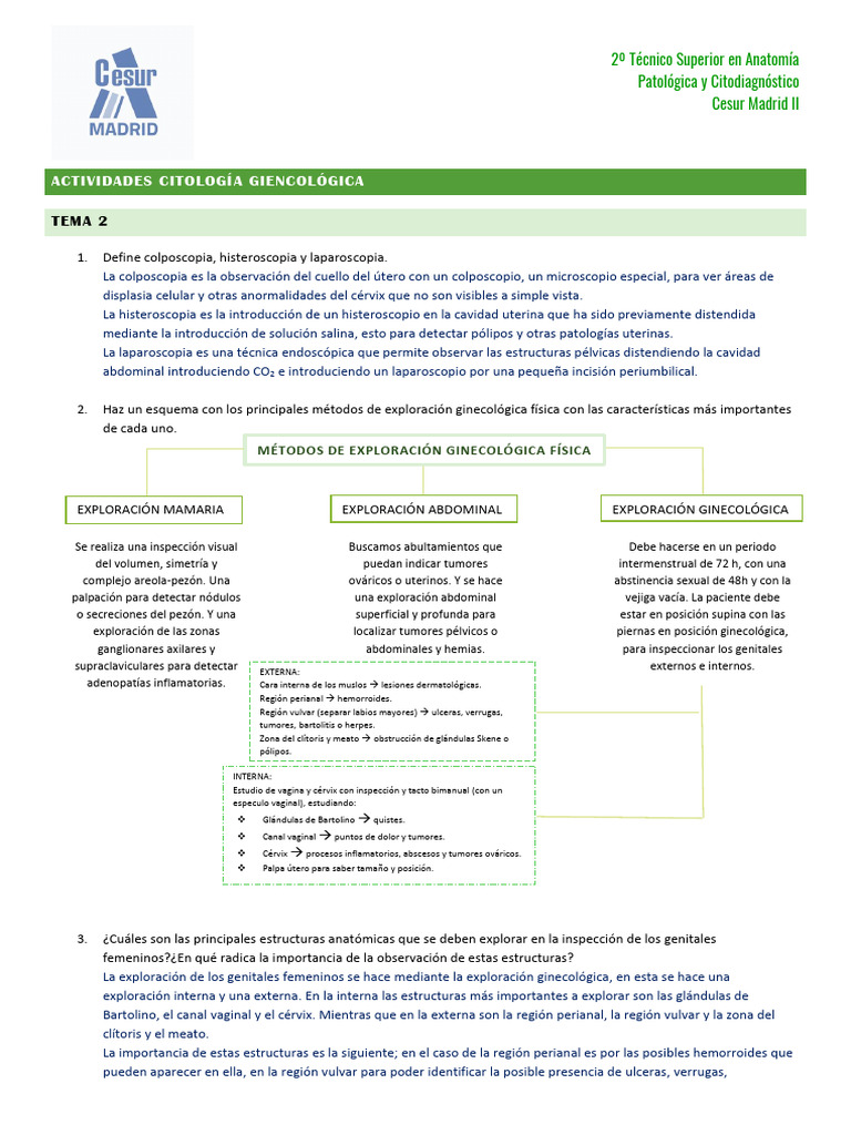 Act Gine Tema 2 | PDF | Menstruación | Vagina