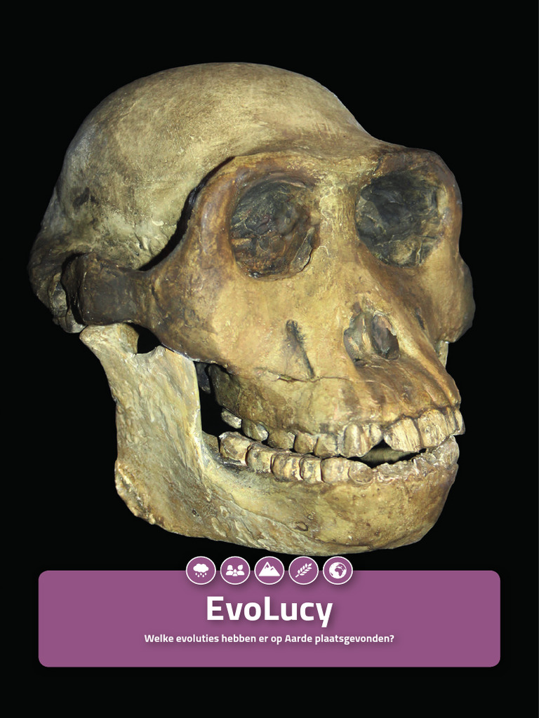 Evo Lucy | PDF