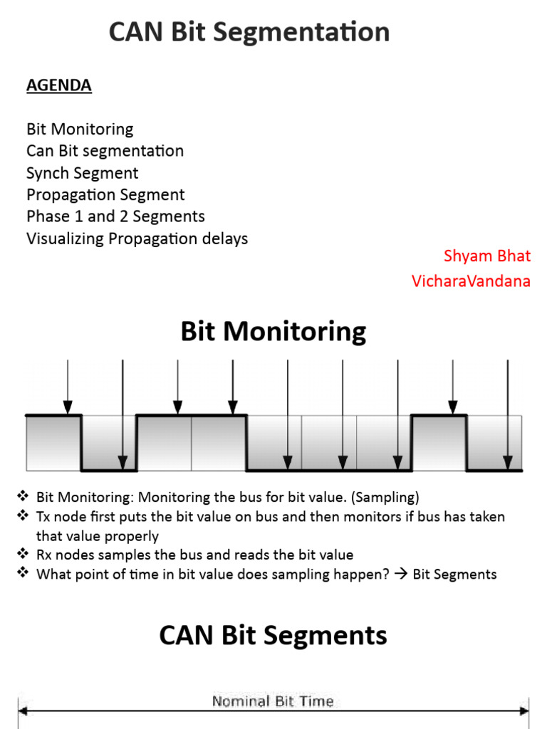 Bit Segmentation | PDF