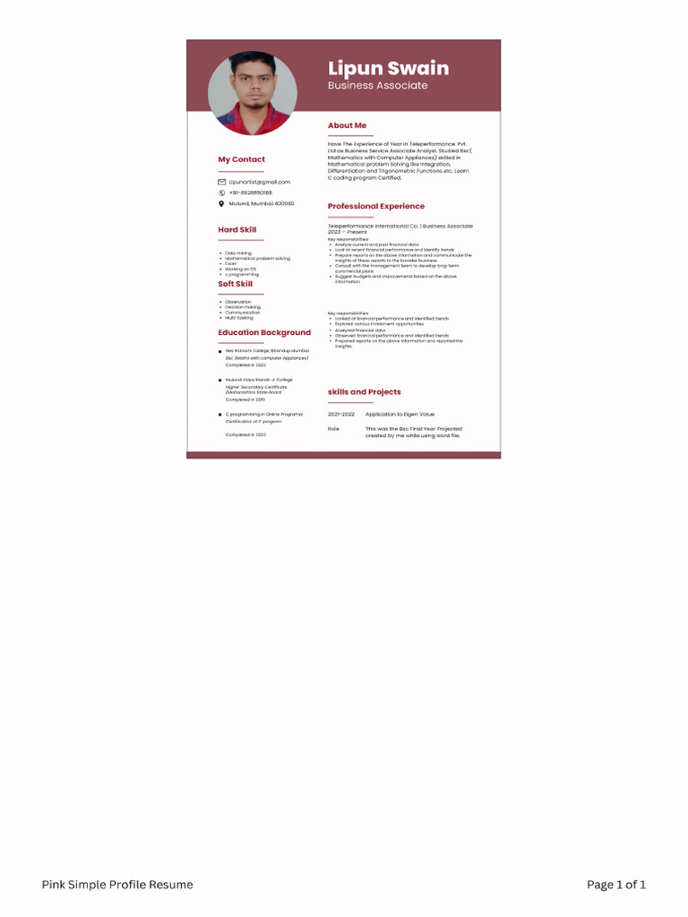 Pink Simple Profile Resume | PDF