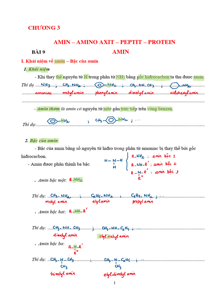 Bai Giang Ly Thuyet Amin | PDF