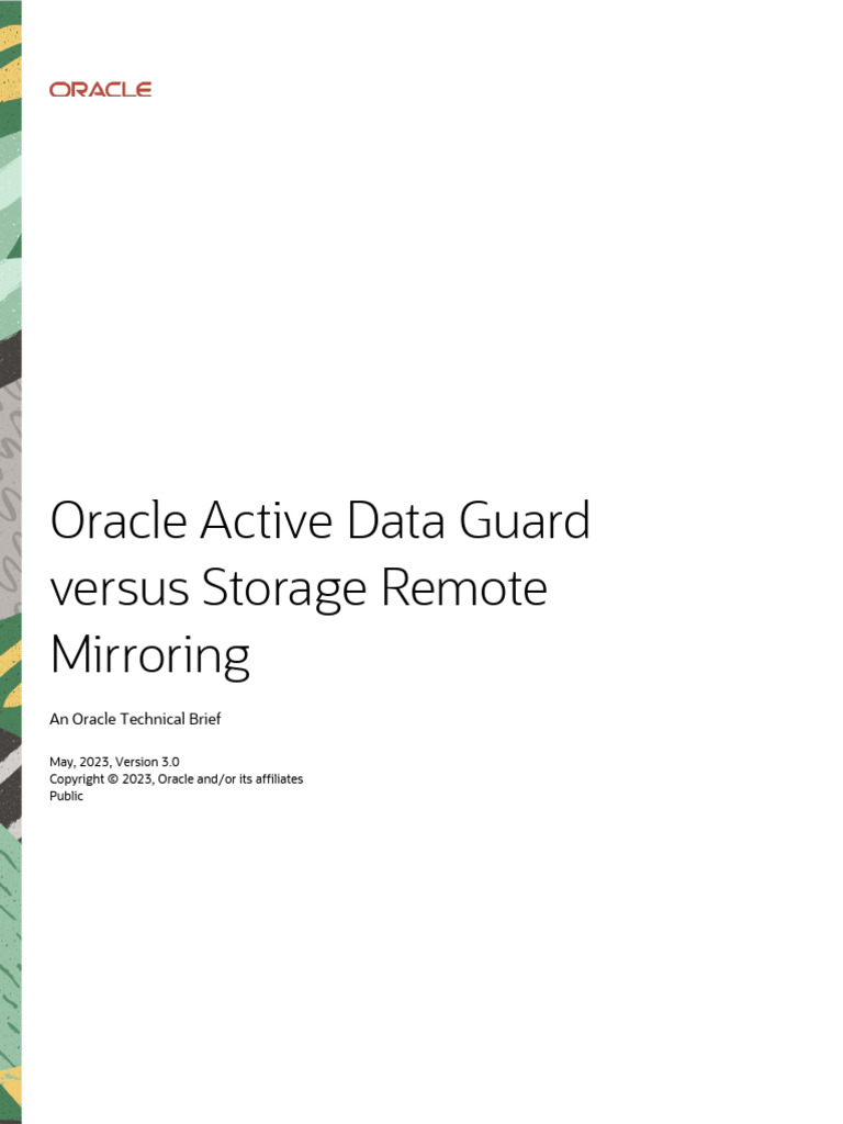 Storage Mirroring | PDF | Databases | Computer Data Storage