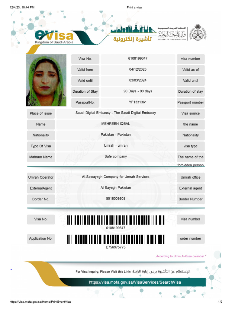 Mehreen | PDF | Travel Visa | International Relations