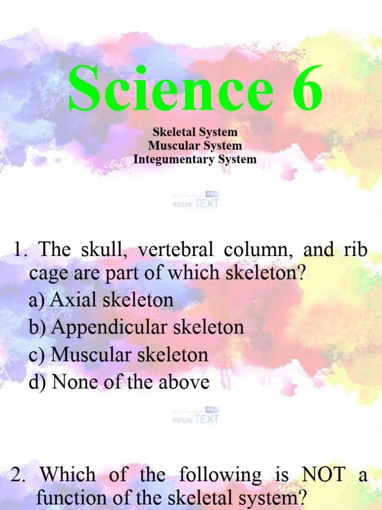 Sci Quiz Musculoskeletal | PDF | Integumentary System | Skin