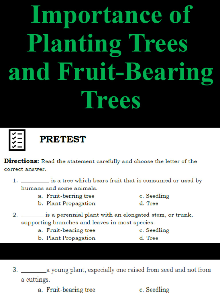 Importance of Planting Trees | PDF | Trees | Plants