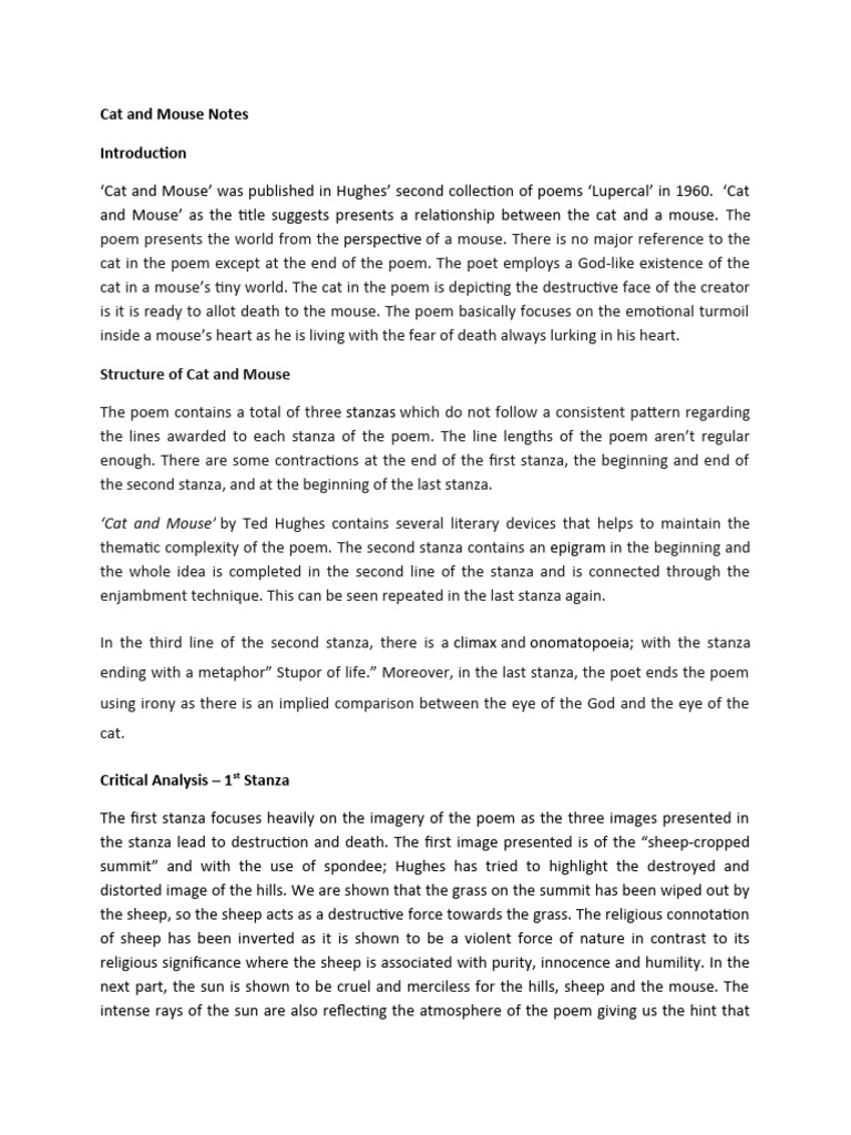 Cat and Mouse Notes | PDF | Poetry