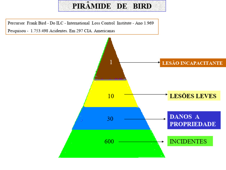 Piramide Bird | PDF
