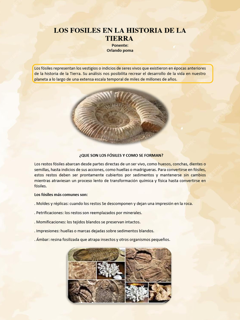 Los Fosiles | PDF | Fósil | Ciencias de la Tierra