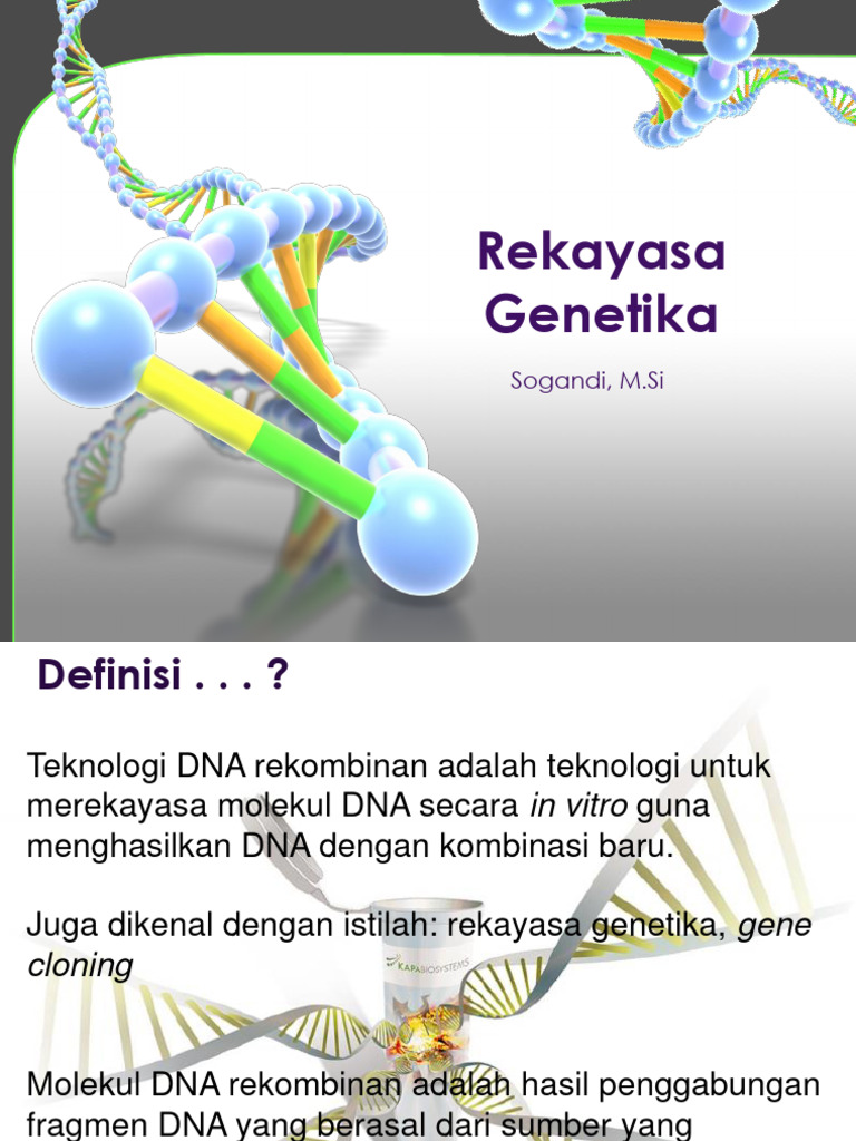 Rekayasa Genetika | PDF