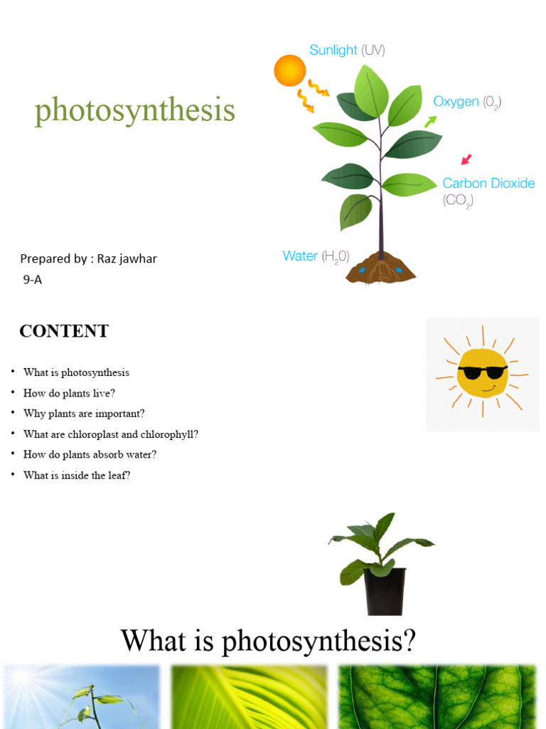Photosynthesis: Prepared By: Raz Jawhar 9-A | PDF | Home & Garden ...