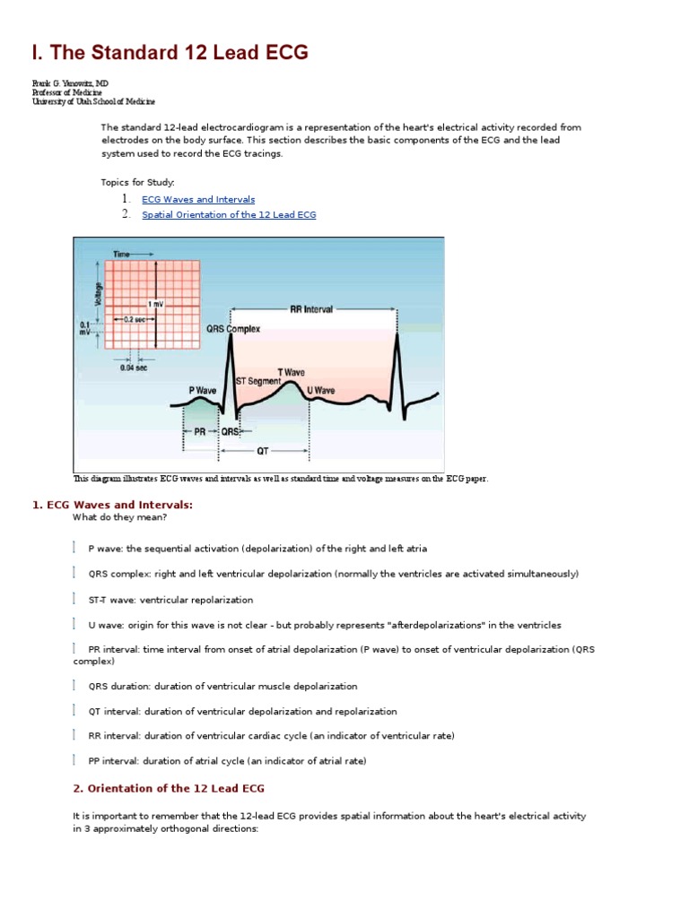 I. The Standard 12 Lead ECG | PDF | Electrocardiography | Internal Medicine