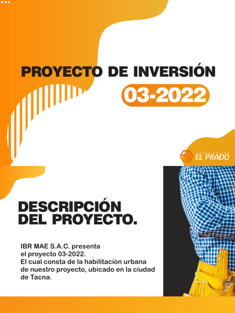 Proyecto de Inversion Mayra 03 | PDF