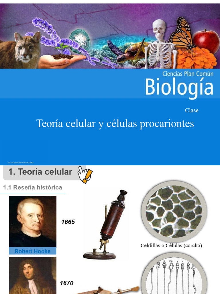 Teoría celular y células procariontes | PDF | Biología Celular ...