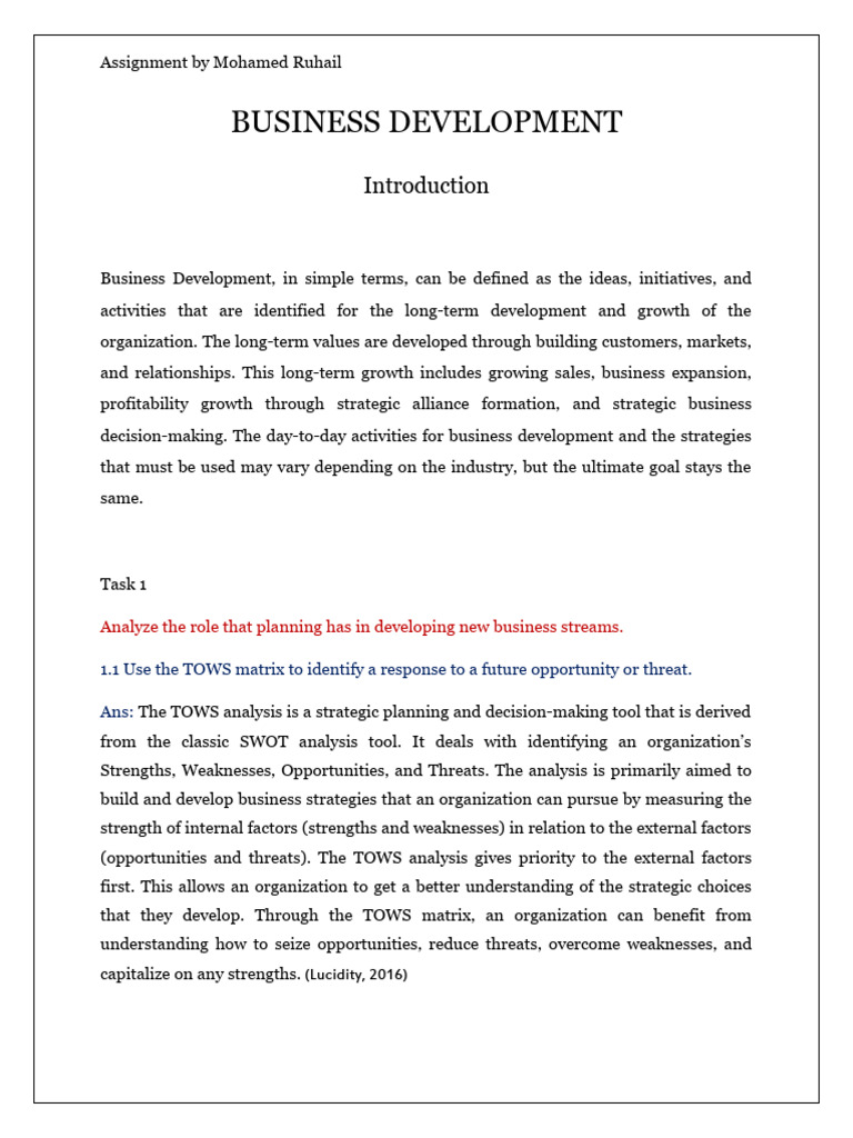 Business Development | PDF | Marketing | Strategic Management