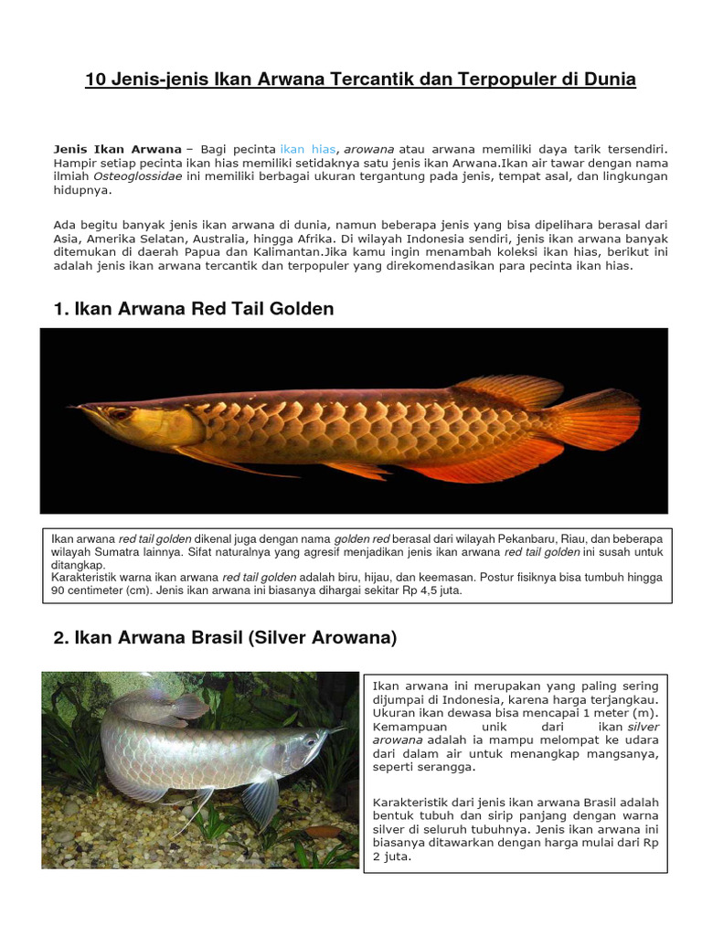 10 Jenis ARWANA | PDF