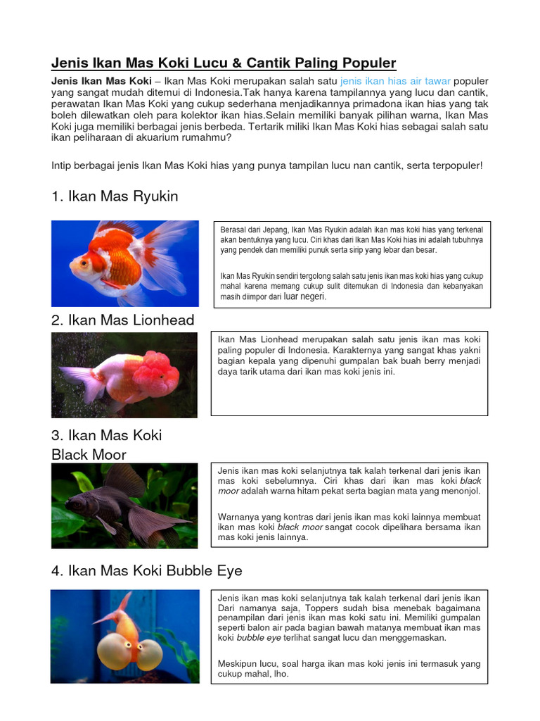 Jenis Ikan Mas Koki Lucu | PDF