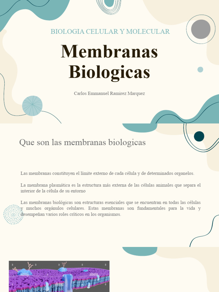 Membranas Biologicas | Descargar gratis PDF | Bicapa lipídica | Biología Celular)