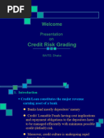 Credit Risk Grading System Overview | PDF | Risk Management | Credit Risk