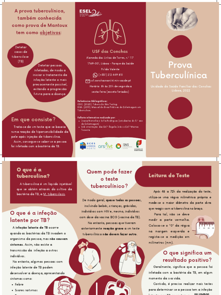 TCT Folheto V2 | PDF | Tuberculose | Medicina Clínica