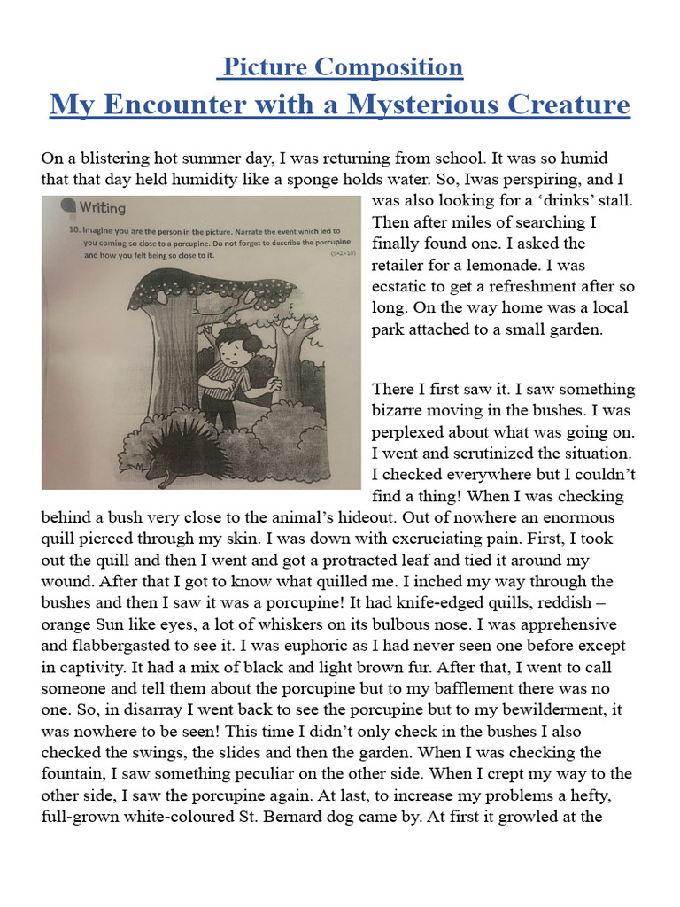 Picture Composition | PDF