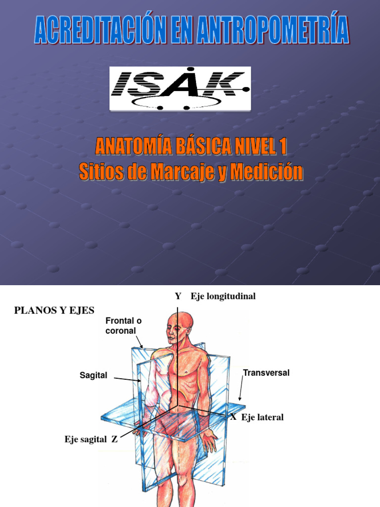 Anatomia - Antropometira Isak 1 - Group Fit | PDF | Ciencias sociales ...