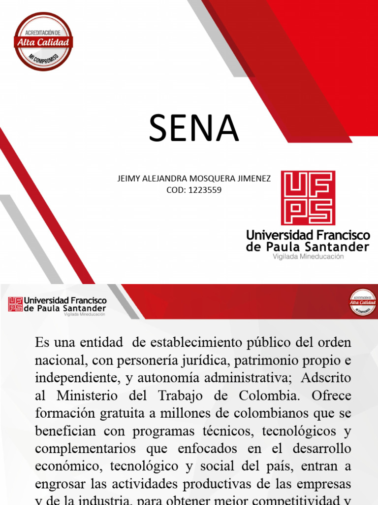 Sena 1 | PDF