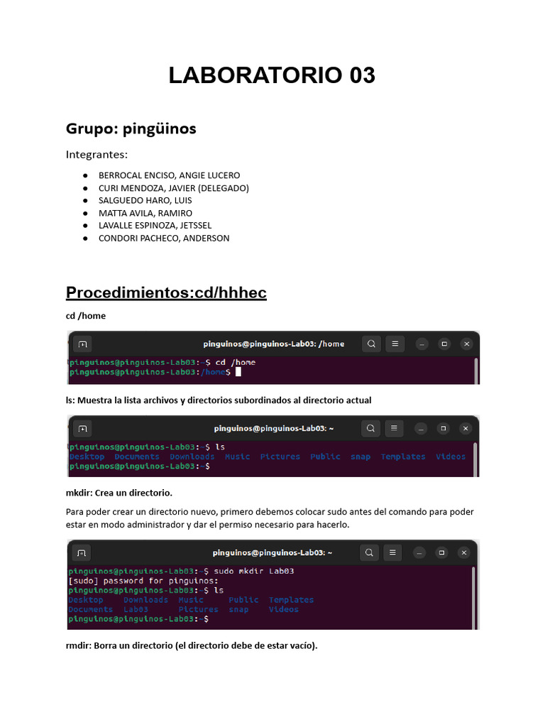Laboratorio N°3 - Introducción A UNIXLINUX | PDF | Archivo de computadora | Interfaz de línea de ...