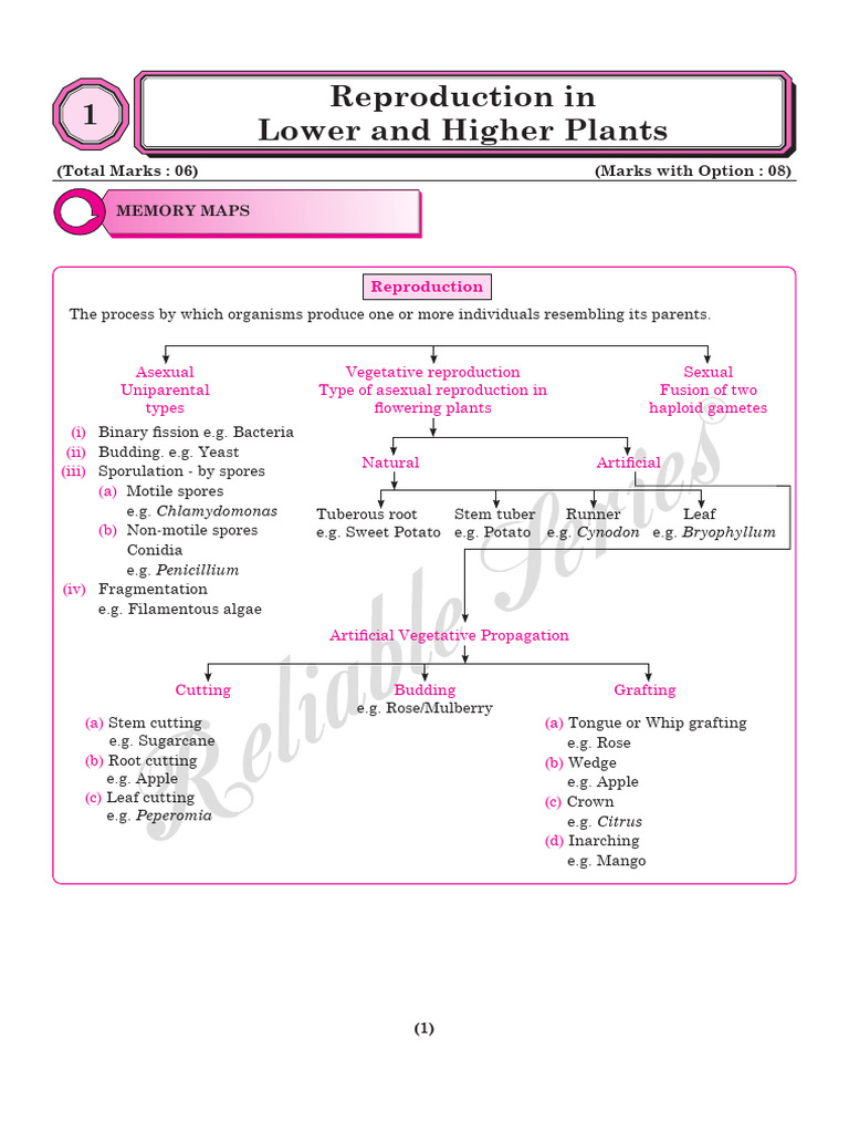 Biology Memory Map | PDF | Cerebrum | Immune System